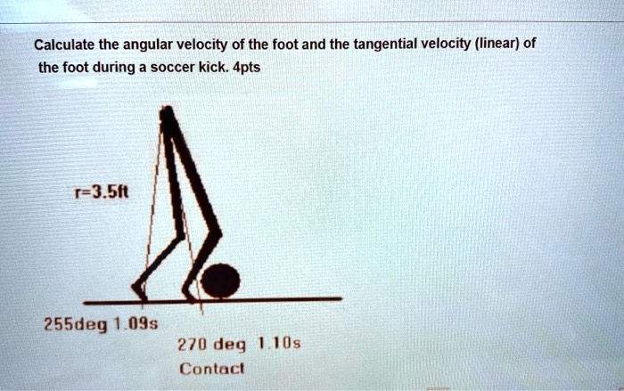SOLVED: Calculate the angular velocity of the foot and the tangential ...