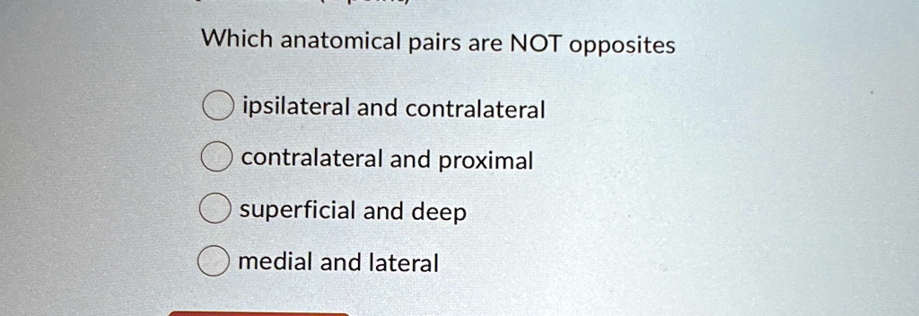 which anatomical pairs are not opposites ipsilateral and contralateral ...