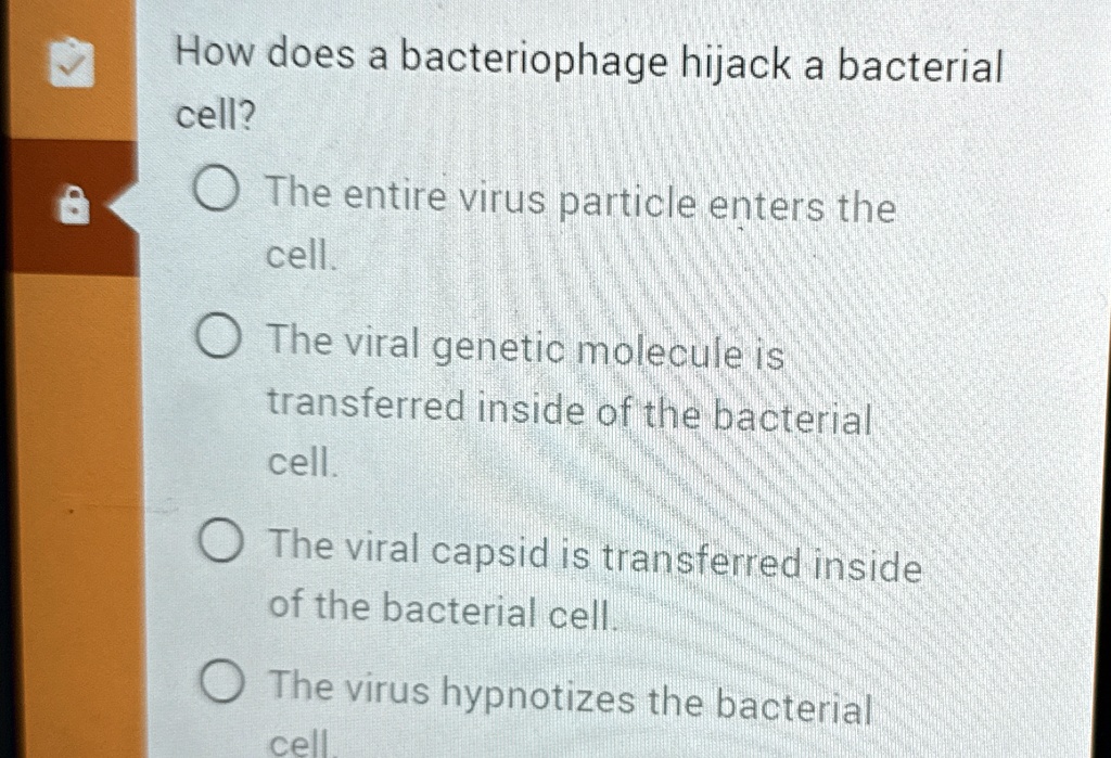 how does a bacteriophage hijack a bacterial cell the entire virus particle enters the cell the ...