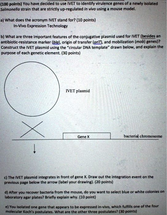 SOLVED: Text: (100 points) You have decided to use IVET to identify ...