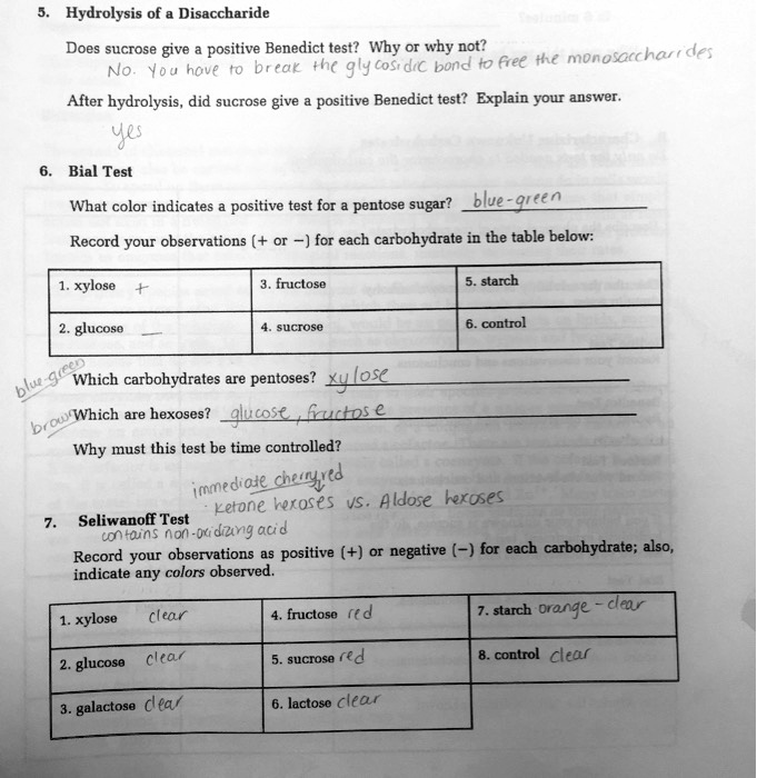 Sucrose Hydrolysis Test