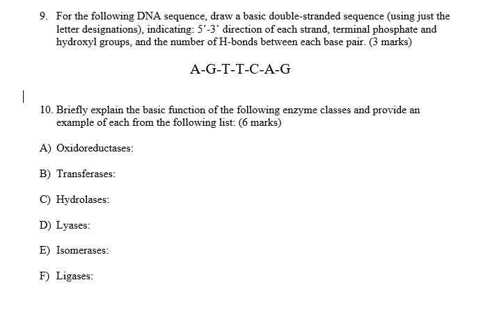 for the following dna sequence draw basic double stranded sequence ...