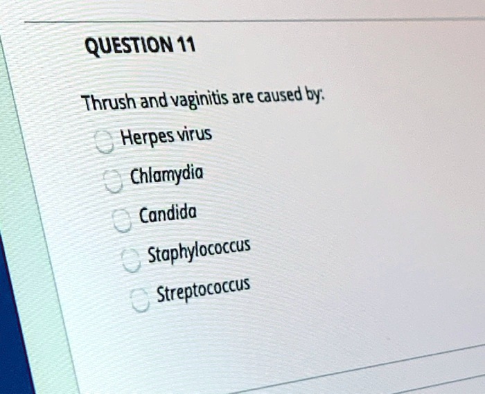 SOLVED: Question 11 Thrush and vaginitis are caused by: Herpes virus ...