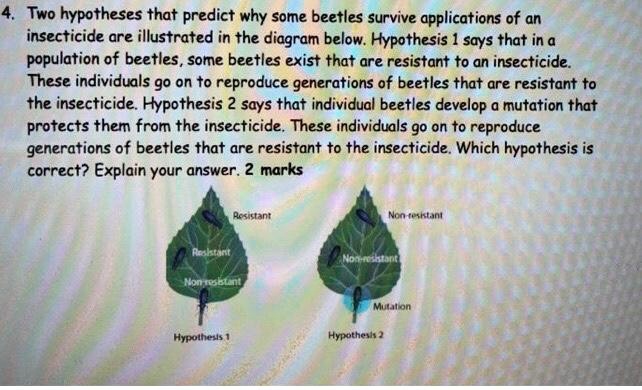 4. Two hypotheses that predict why some beetles survive...