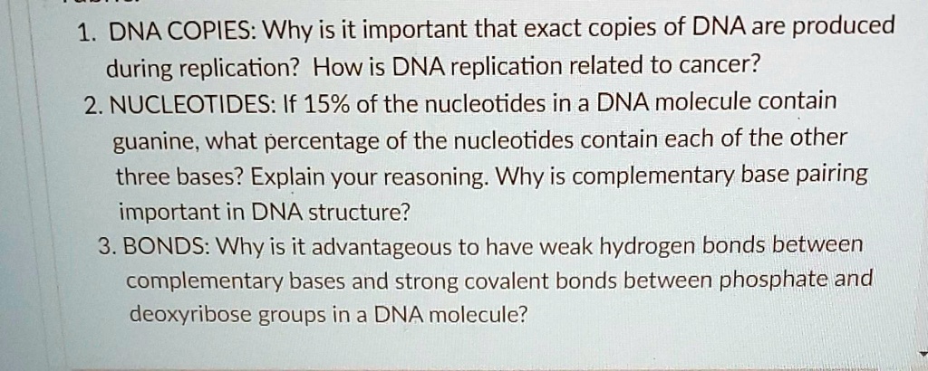 1. DNA COPIES: Why is it important that exact copies of DNA are ...