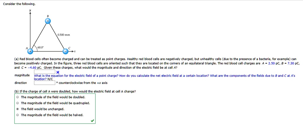 consider the follow ing 0500 mm a a red blood cells often become ...