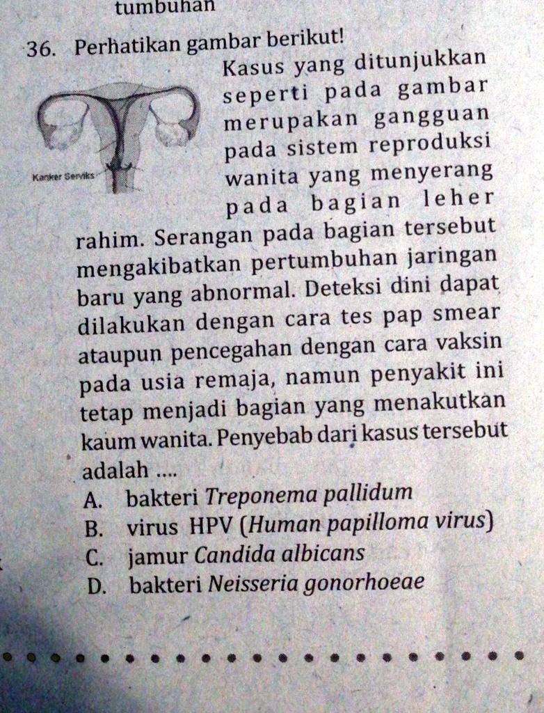 SOLVED: 1 nomor doang tolong dijawab yaa penting : SOLVED: 1 nomor doang tolong dijawab yaa penting :