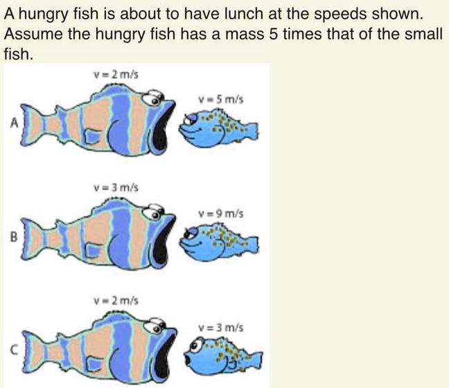 SOLVED: hungry fish is about to have lunch at the speeds shown: Assume ...