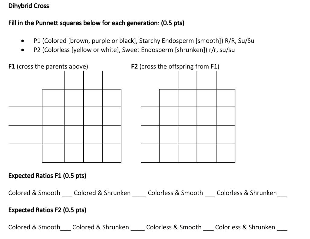 SOLVED:Dihybrid Cross Fill in the Punnett squares below for each ...