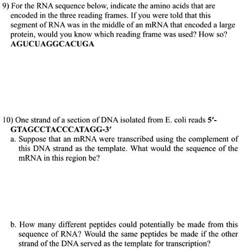 SOLVED: 9) For the RNA sequence below, indicate the amino acids that ...