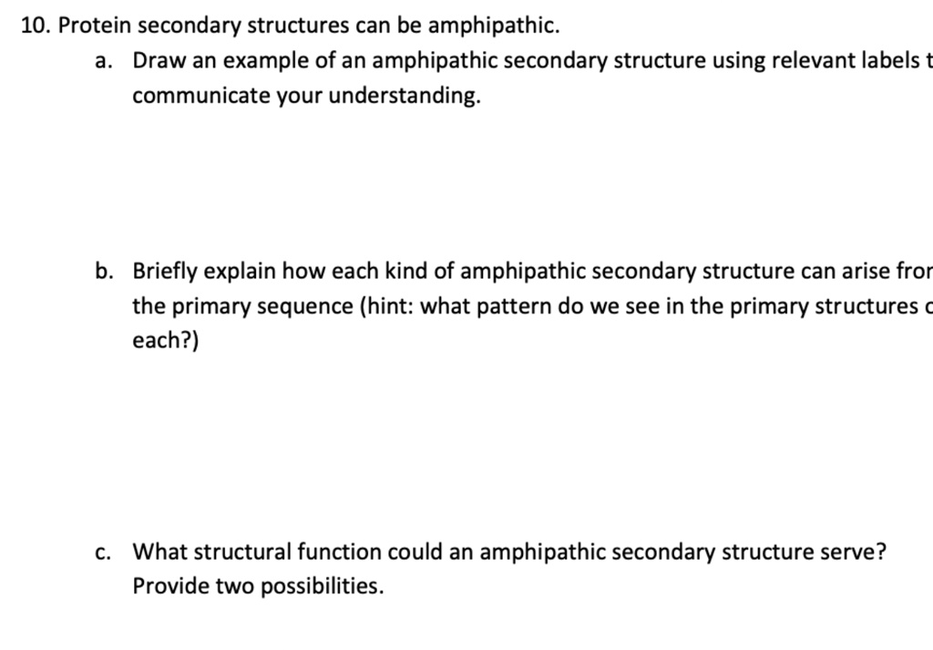 SOLVED: 10. Protein secondary structures can be amphipathic. a. Draw an ...