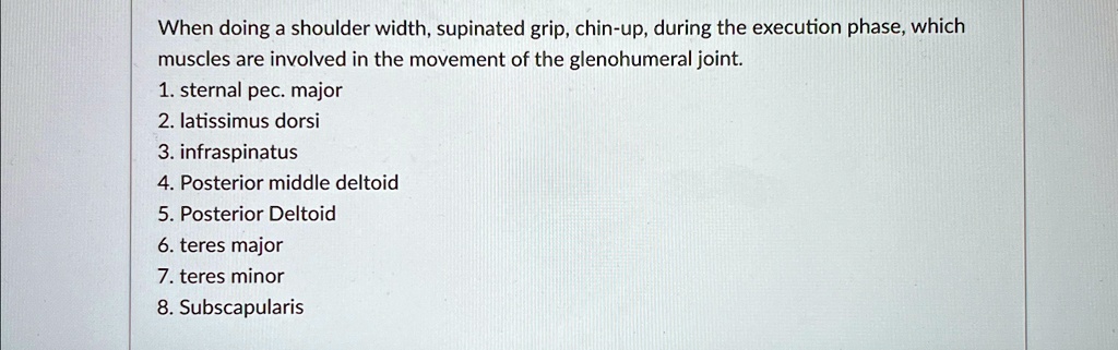 when doing a shoulder width supinated grip chin up during the execution ...