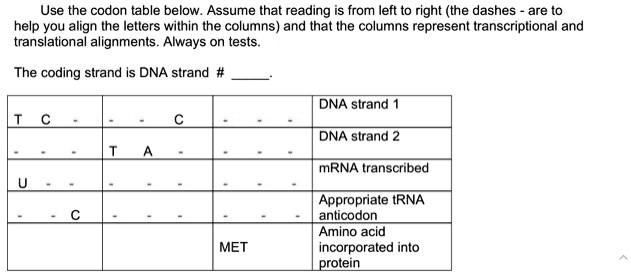 SOLVED: Use the codon table below: Assume that reading is from left to right (the dashes are t0 ...