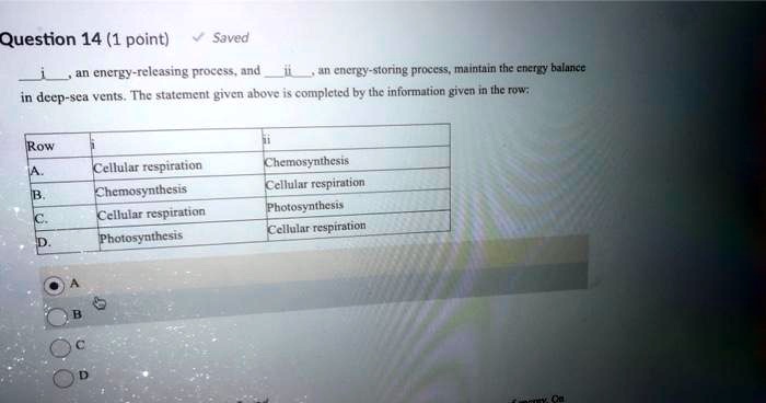 SOLVED: Question 14(1point)Saved an energy-releasing process,andjian ... SOLVED: Question 14(1point)Saved an energy-releasing process,andjian ...