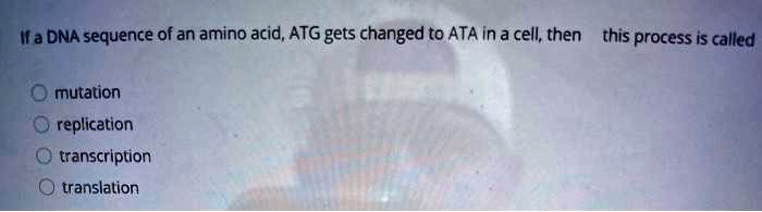 SOLVED:Ifa DNA sequence of an amino acid, ATG gets changed to ATA In a ...