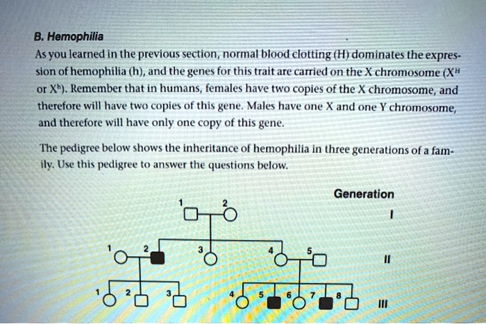 SOLVED: B. Hemophilia As you learned in the previous section, normal ...
