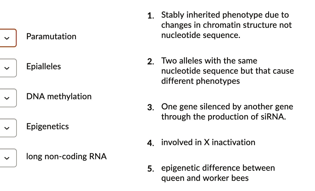 SOLVED: Stably inherited phenotype due to changes in chromatin structure, not nucleotide ...
