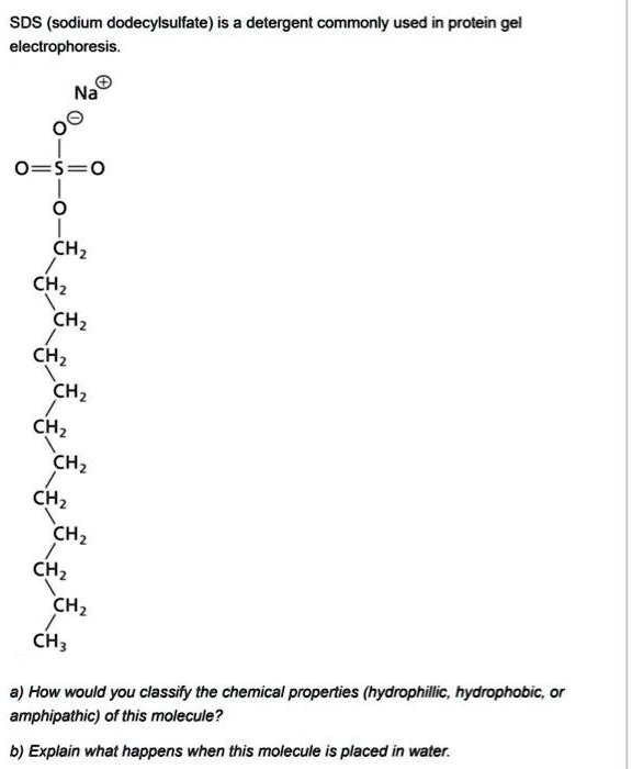 SOLVED: SDS(sodium dodecylsulfate) is a detergent commonly used in ...