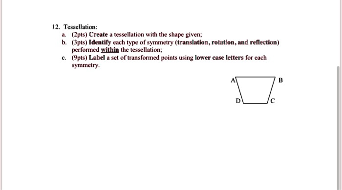 Solved Tessellation 2pts Create Tessellation With The Shape Given 3pts Identily Cach Type