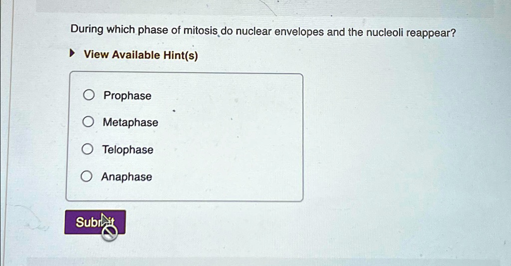 SOLVED: During which phase of mitosis do nuclear envelopes and the ...