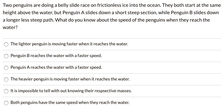two penguins are doing belly slide race on frictionless ice into the ...