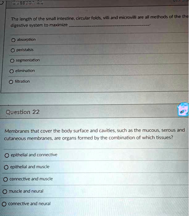 Question 21 The length of the small intestine, circular folds, villi ...