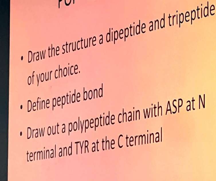Draw the structure a dipeptide and tripeptide of your choice. • Define ...