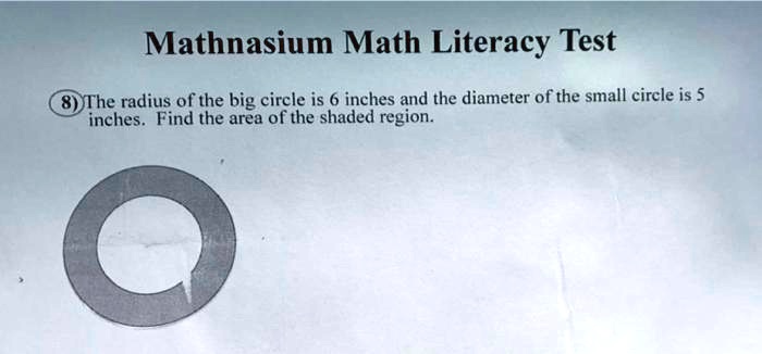SOLVED: Mathnasium Math Literacy Test SThe radius of the big circle is ...