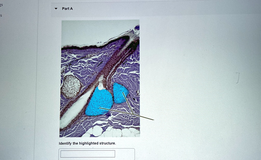part a identify the highlighted structure part a identify the highlighted structure 20322