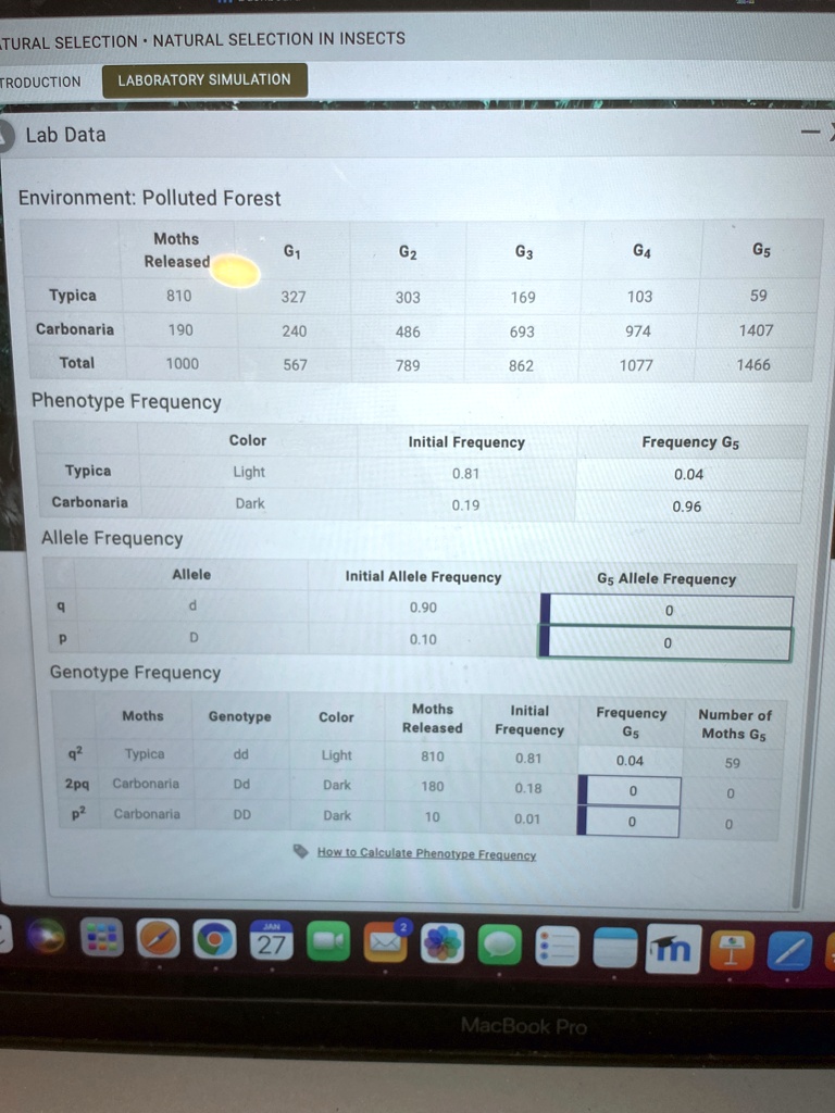 tural selection natural selection in insects troduction laboratory ...