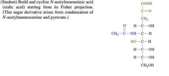 (Student) Build and cyclize N-acetylneuraminic acid (sialic acid ...