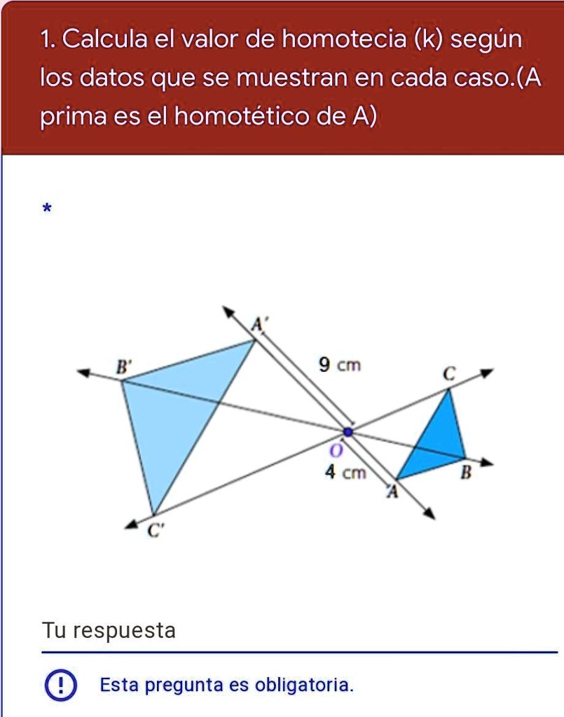 SOLVED: AYUDEN MI€RD@@@@@@@@@@ 1. Calcula el valor de homotecia (k ...