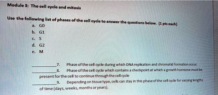 SOLVED: Module 3- TThe cell cvale end mitosis Use the followine list of ...