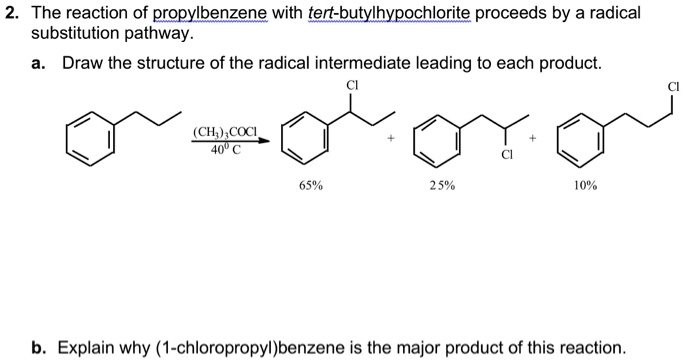 the reaction of propylbenzene with tert butylhypochlorite proceeds by a ...