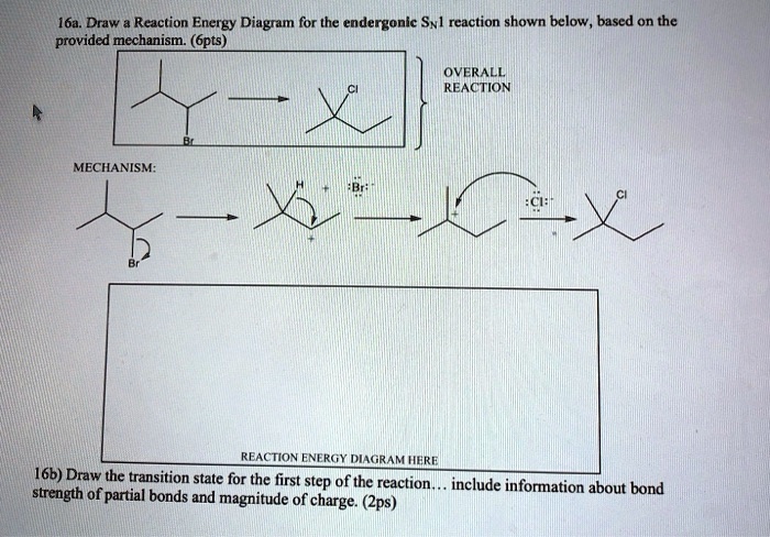 SOLVED: 16a. Draw Reaction Energy Diagram for the endergonic Svl ...