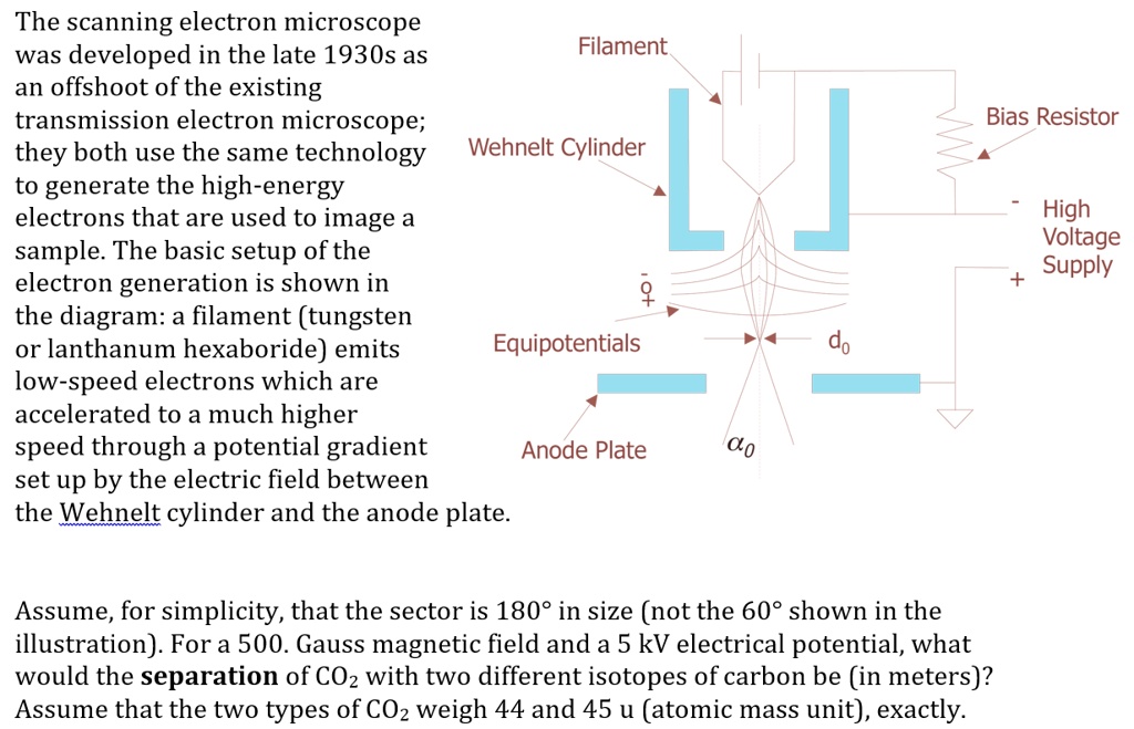 SOLVED: The scanning electron microscope was developed in the late ...