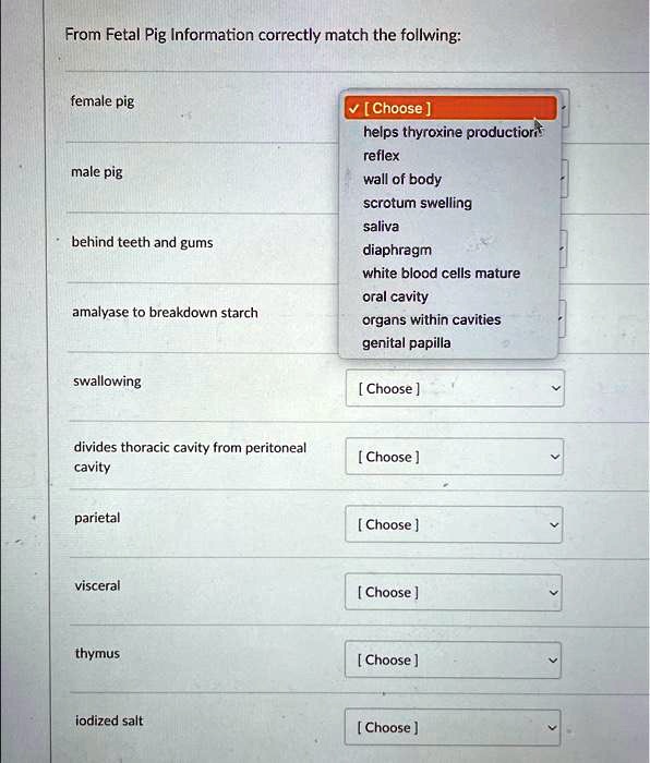 From Fetal Pig Information correctly match the follwing: female pig ...