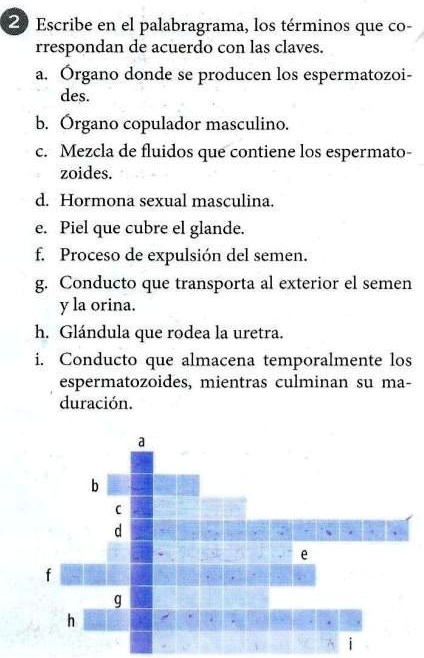 SOLVED: quien me hace el favor y me ayuda plis gracias 2 Escribe en el ... SOLVED: quien me hace el favor y me ayuda plis gracias 2 Escribe en el ...