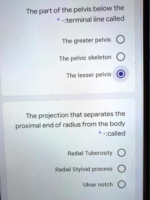 SOLVED: The part of the pelvis below the iliac crest called The greater ...