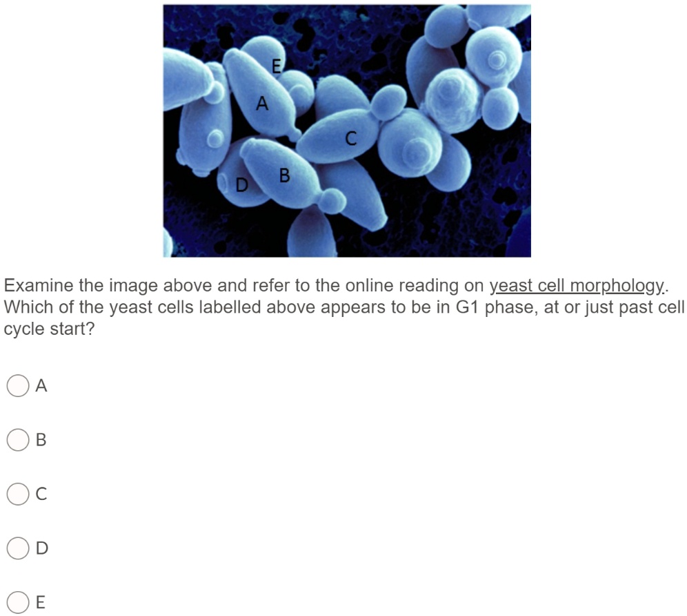 SOLVED: A B 0 Examine the image above and refer to the online reading ...