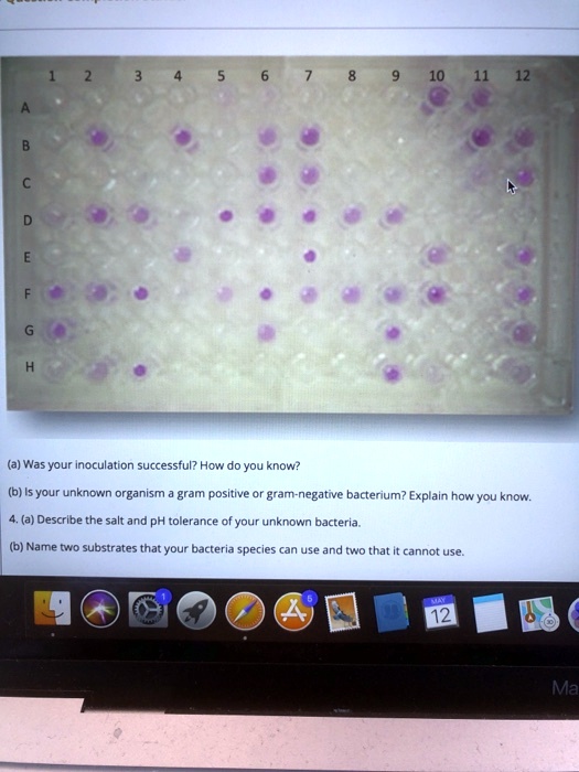 SOLVED: (a) Was your Inoculation successful? How doyou know? (b) Isyour ...