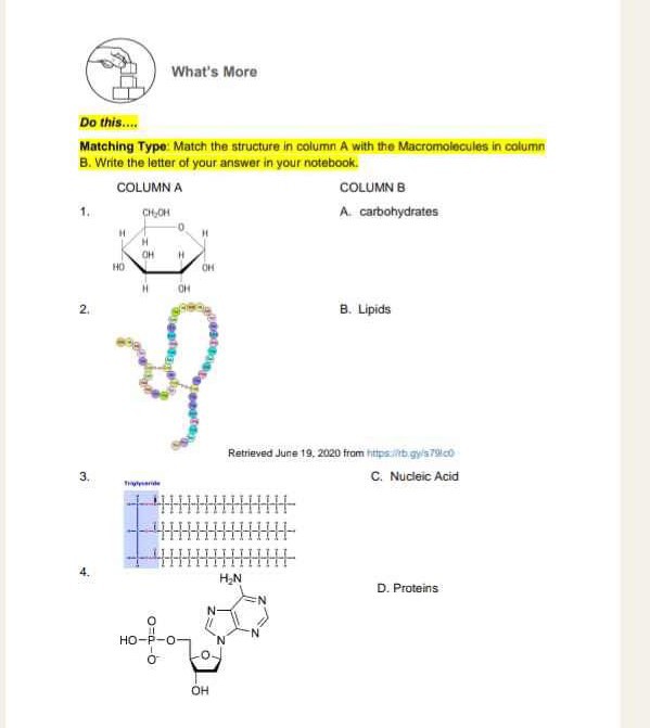 What's More Do this.... Matching Type: Match the structure in column A ...