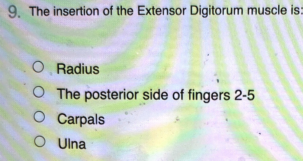 The insertion of the Extensor Digitorum muscle is: - Radius - The ...