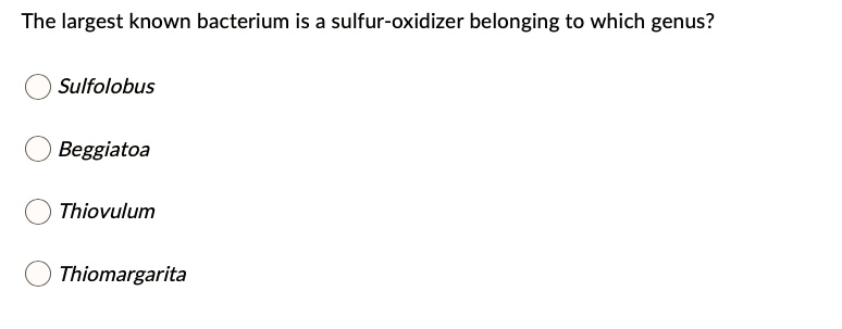 The largest known bacterium is a sulfur-oxidizer belonging to which ...