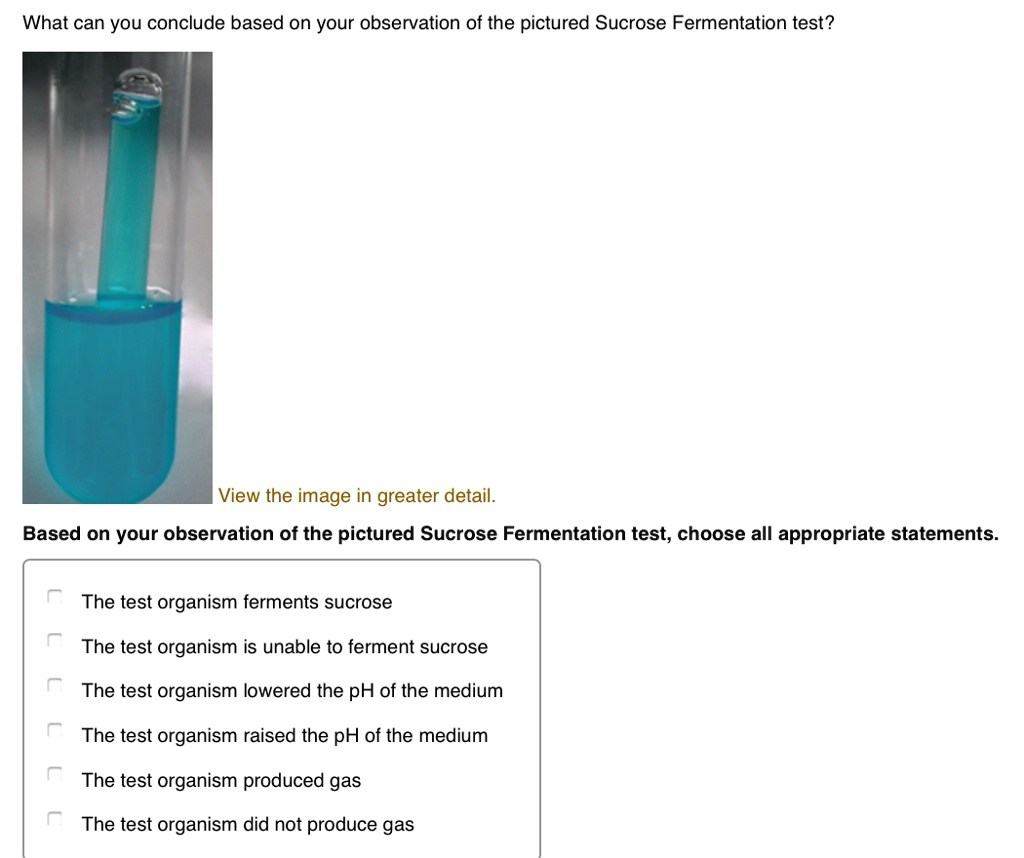 VIDEO solution: What can you conclude based on your observation of the ...