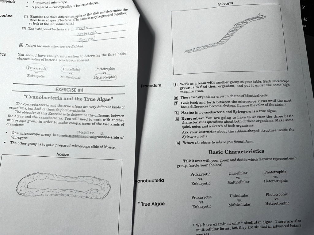 a compound microscope a prepared microscope slide of bacterial shapes ...