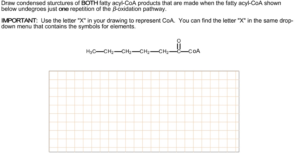 SOLVED: Draw condensed structures of BOTH fatty acyl-CoA products that ...