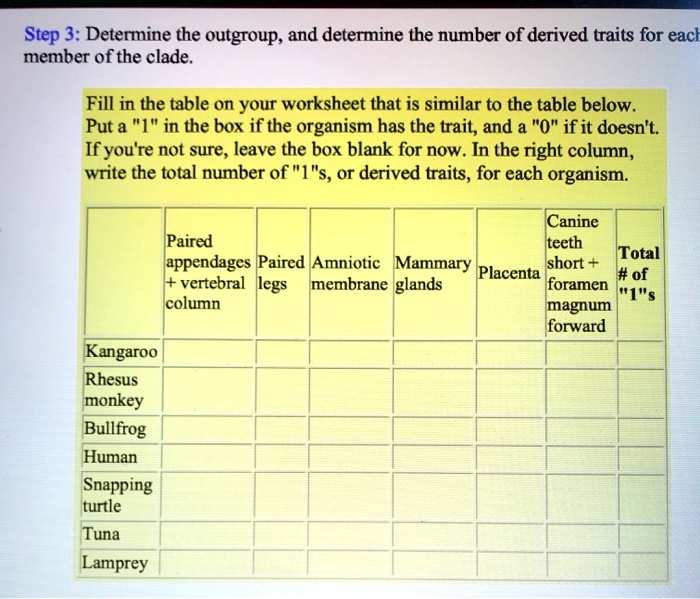 SOLVED: Step 3: Determine the outgroup, and determine the number of ...