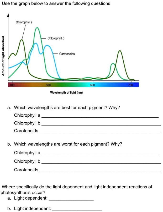 SOLVED: Use the graph below to answer the following questions ...