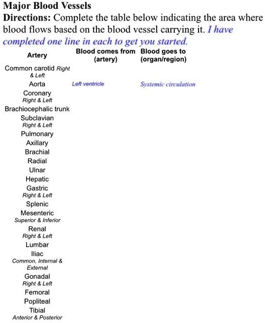 Major Blood Vessels Directions: Complete the table below indicating the ...